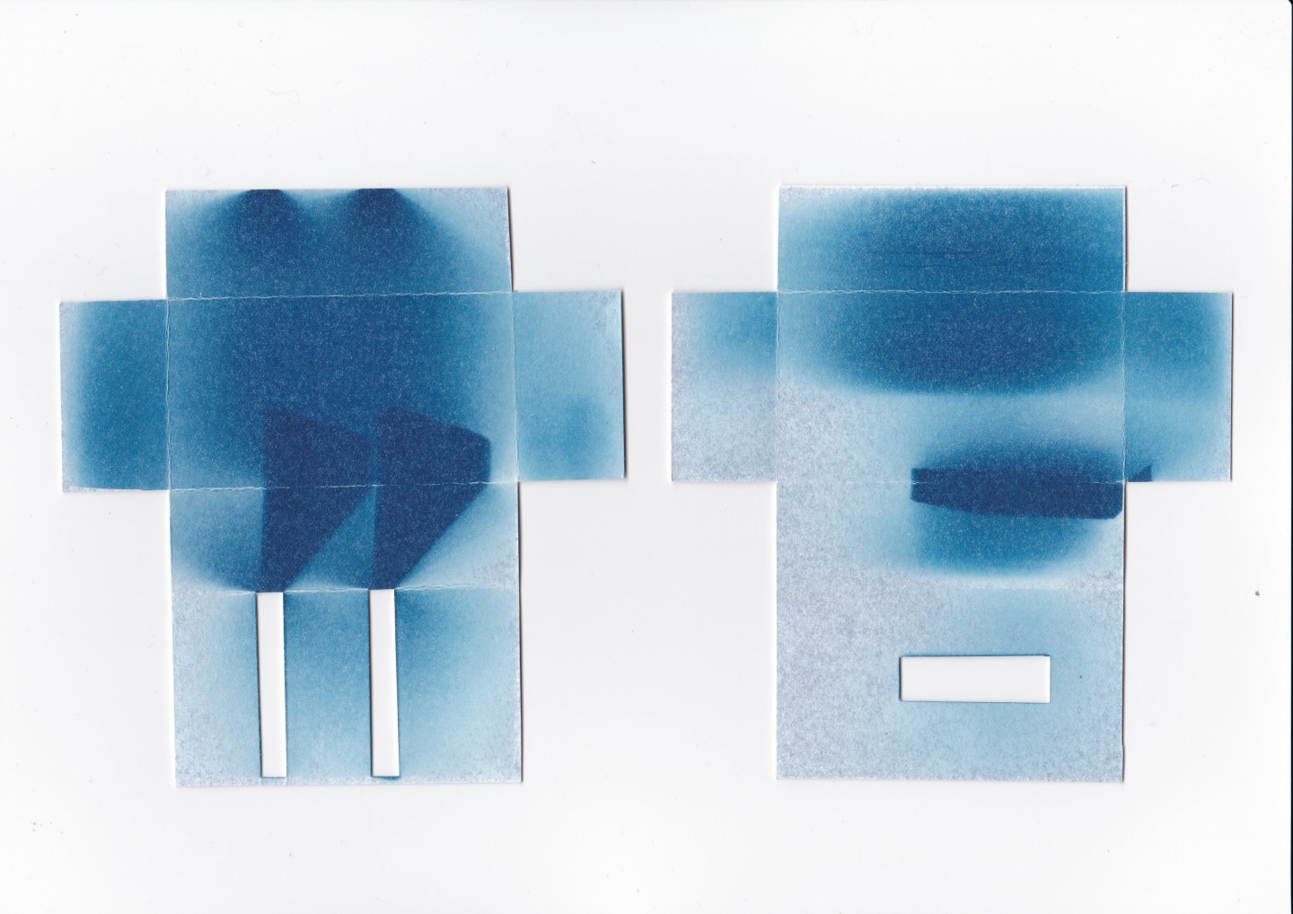 Cyanotype room/camera – prints | Cyanotype Works